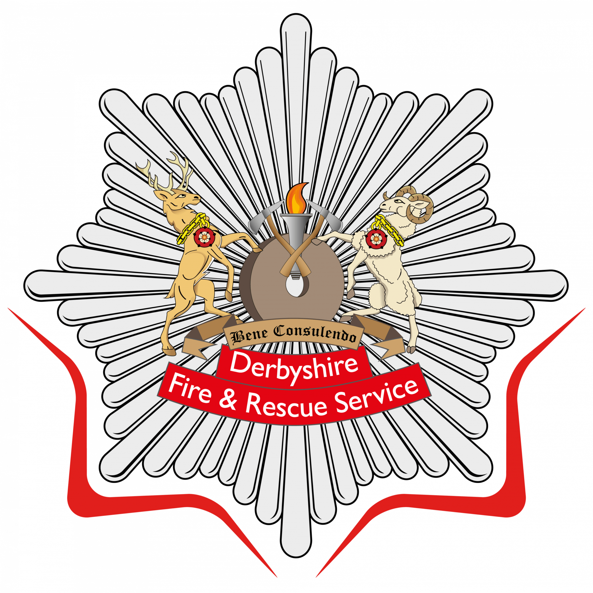 Derbyshire Fire Service Logo